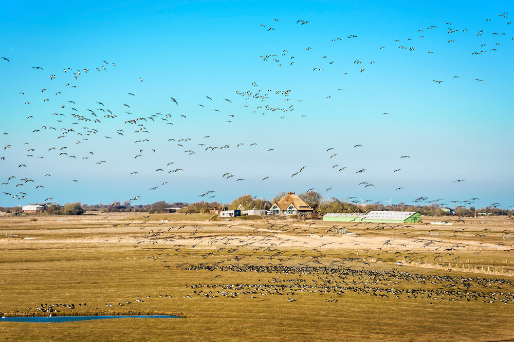 Urlaub in Bargteheide die besten Urlaubsziele - wasser und land